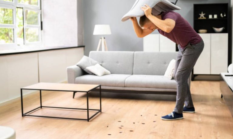 Tips For Preventing Insect Infestations in Homes - Pest Control Wiz